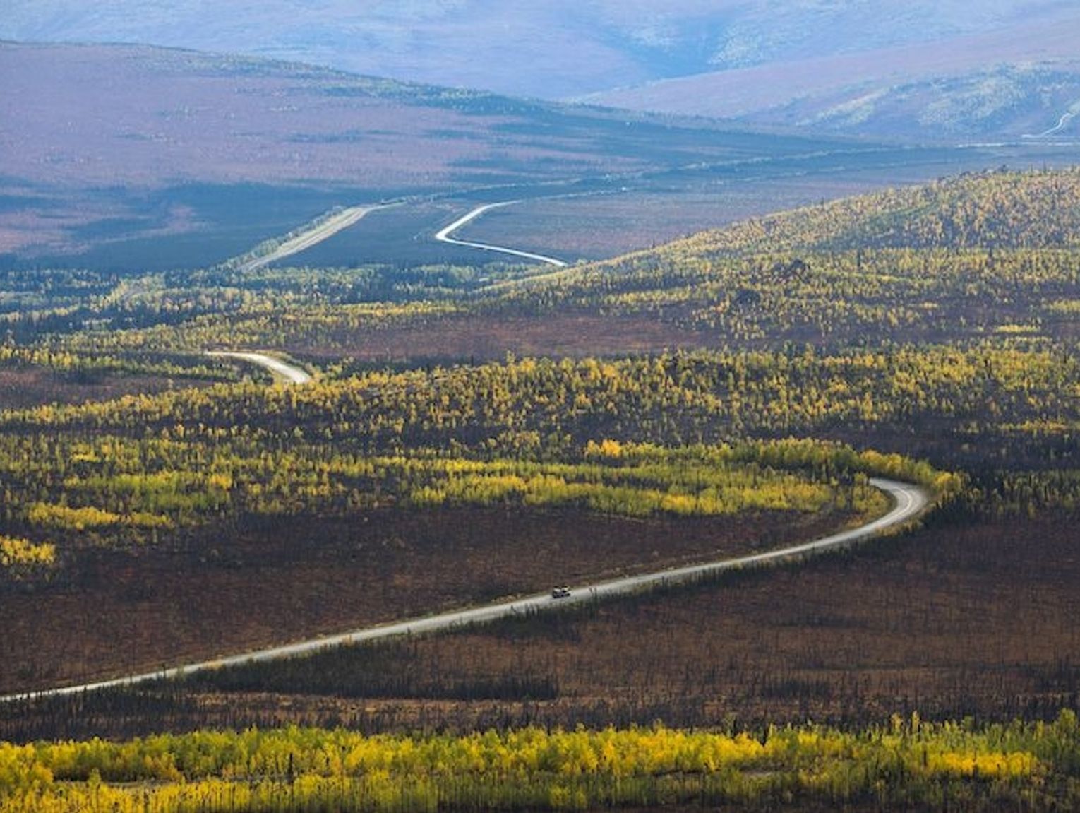 Alaska kwestionuje decyzję o ochronie lasów i pozywa administrację Joe ...