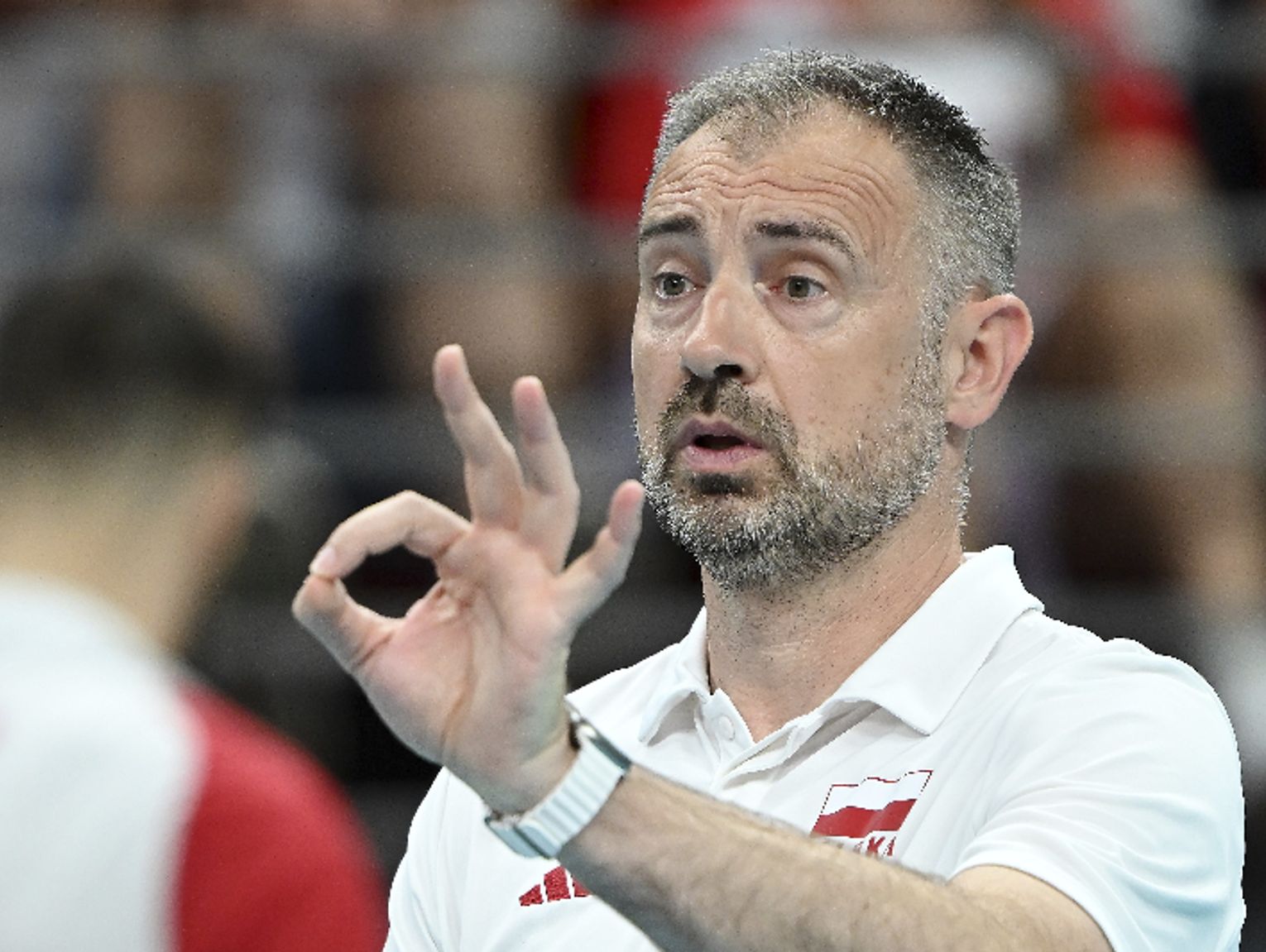 Paryż/siatkówka - Grbic: to największe zwycięstwo drużyny odkąd jestem ...