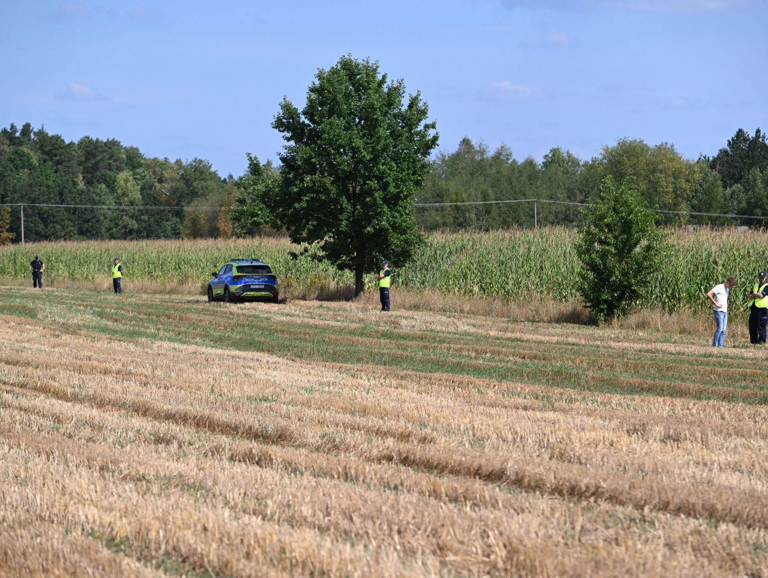 Źródło MON: pod Osinami spadł dron wojskowy bez głowicy ...
